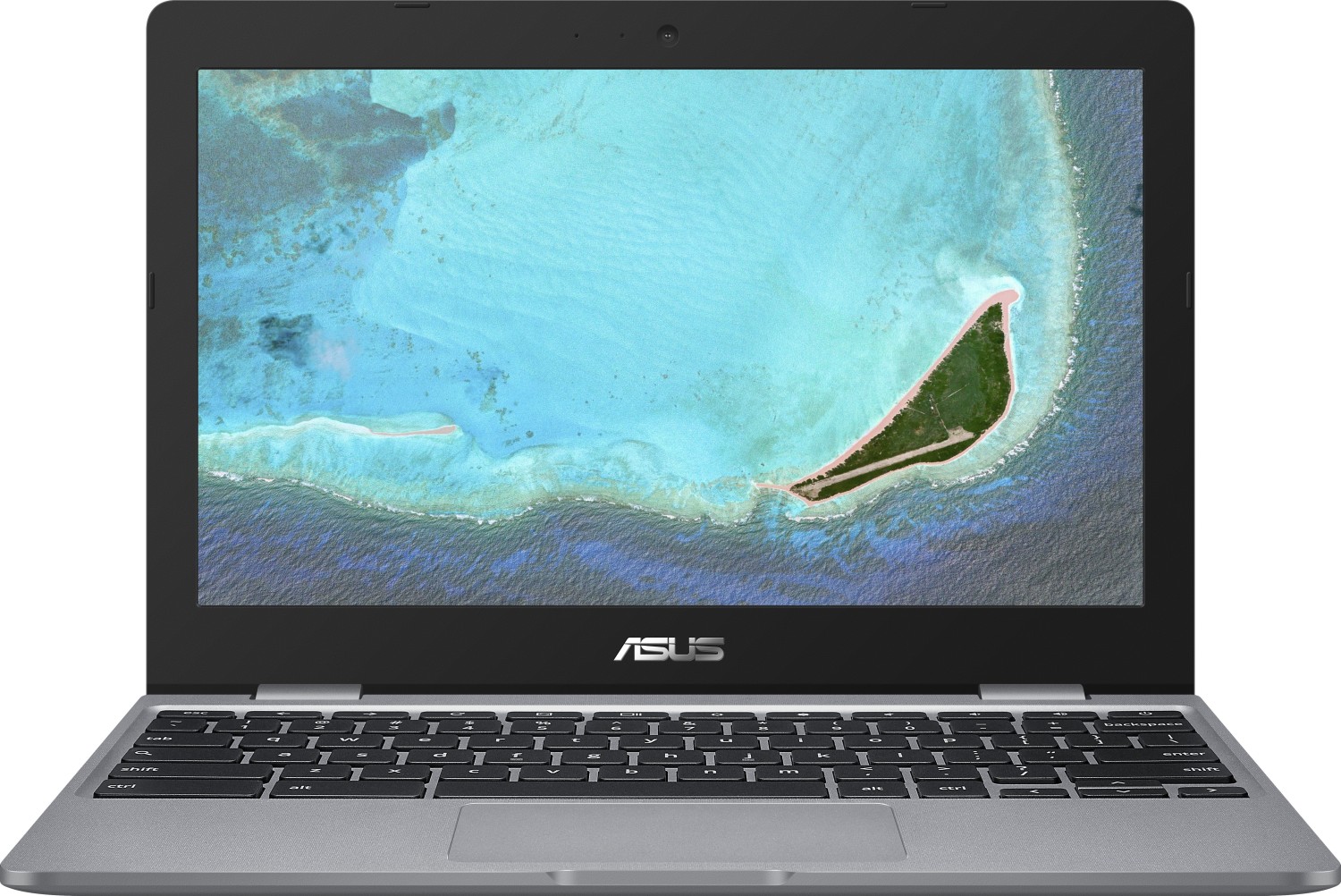 Asus 11.6 chromebook store